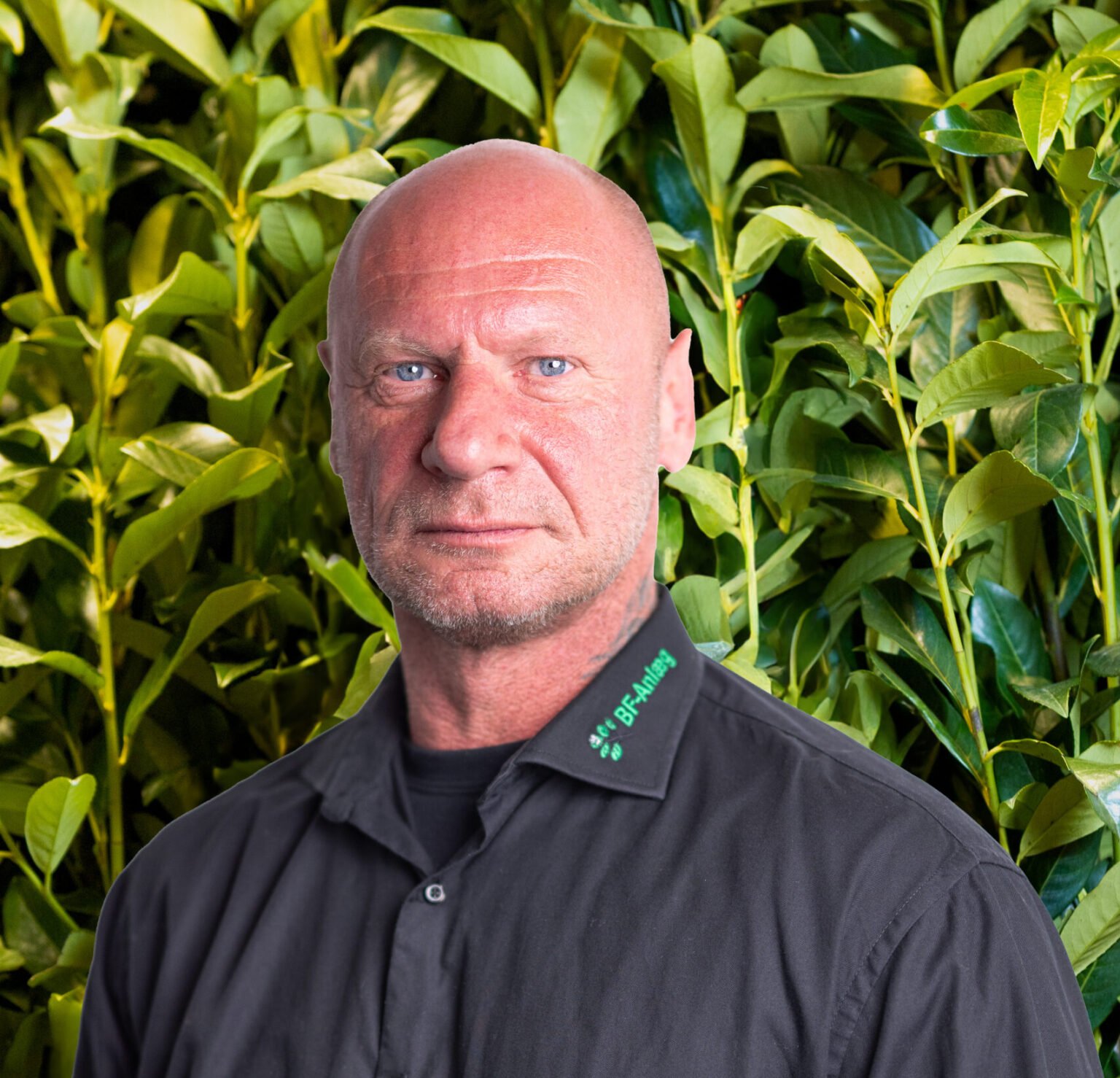 Kontakt - BF-Anlæg - Få et uforpligtende tilbud!